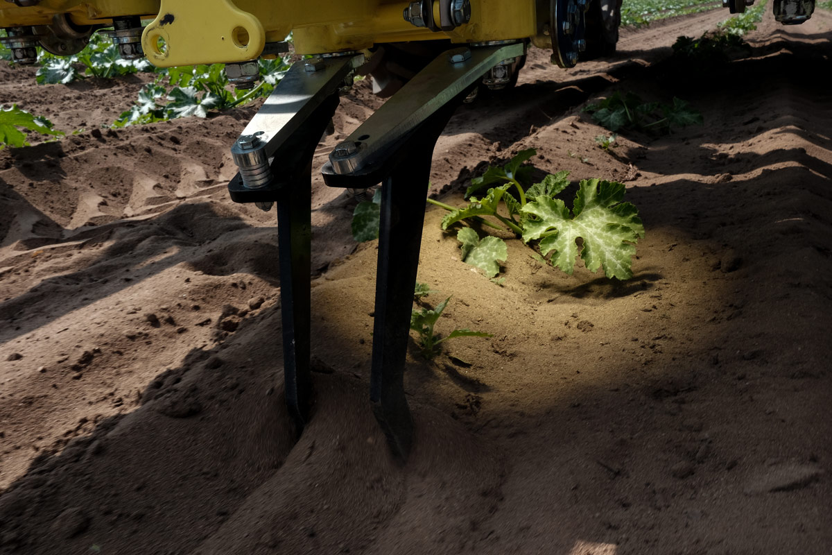 Bineuse inter-plants Ullmanna : l'IA au service du désherbage - Terrateck